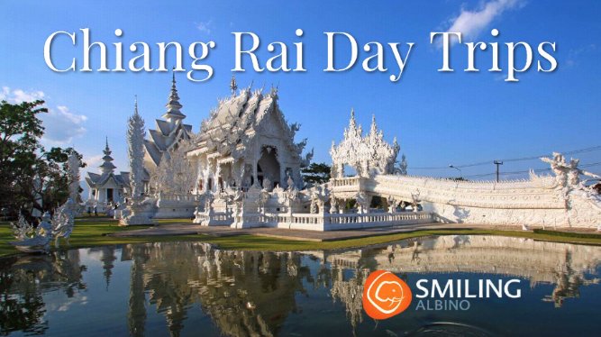 Chiang Rai Day Trips | Smiling Albino